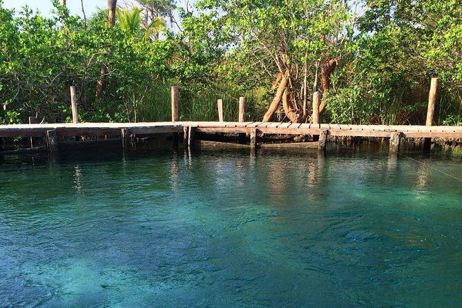 Tour Holbox - Two Island & Cenote from Cancun & Playa Del Carmen - Final Thoughts: Is It Worth It?