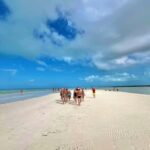 Tour in Italian in Holbox - Exploring the Tour in Detail