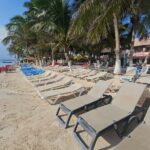 Tour in the Hacienda del Tequila - Transport and Meeting Details