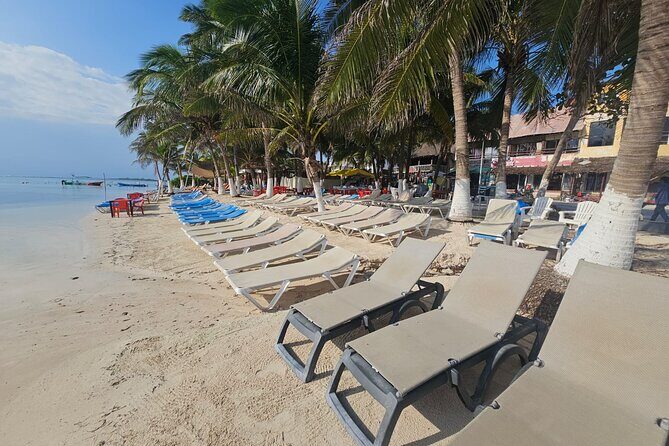 Tour in the Hacienda del Tequila - Transport and Meeting Details