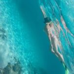 Tour islands Marietas Snorkeling and Nopalera Beach - Authentic Insights from Reviewers