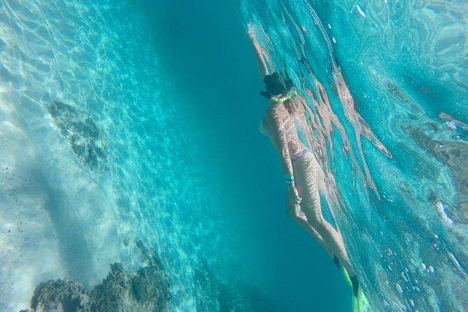 Tour islands Marietas Snorkeling and Nopalera Beach - Authentic Insights from Reviewers