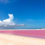 Tour Las Coloradas & Rio Lagartos only from Tulum - Who Should Consider This Tour?