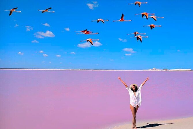 Tour Las Coloradas - FAQs