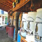 Tour Los Caminos del Mezcal Café and Pedal Loom Factory - Who Is This Tour Best Suited For?