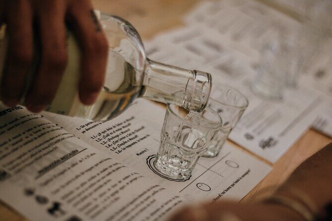 Tour of Mezcalerias in the City - Exploring Oaxaca’s Mezcalerias: A Detailed Breakdown