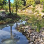 Tour of the Bay, Te Puna Sculpture Park and Historic Village - How the Tour Comes Together: Practical Details