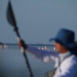 Tour the Mangroves in Kayak by Isla Holbox - Who Would Love This Experience?