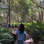 Tour to Celestún - Final Thoughts