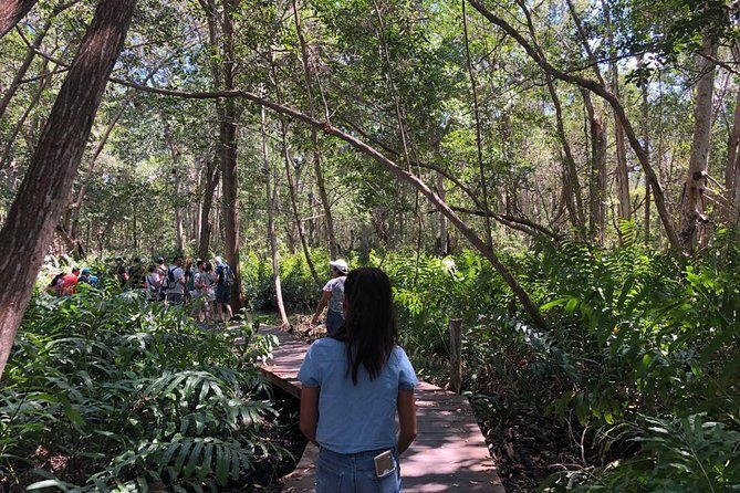 Tour to Celestún - Final Thoughts