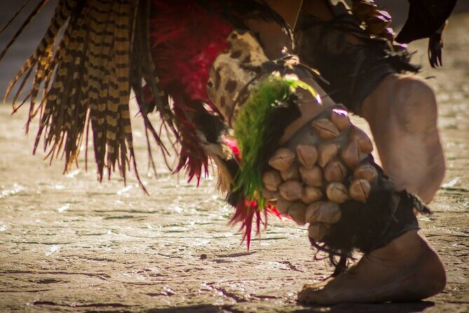 Tour to Teotihuacan by Panoramic Bus with Food Option - What Do the Reviews Say?