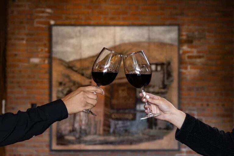 Tour & Wine Tasting Viñedo San Miguel / San Bartolo Experience - The Itinerary: What to Expect Step-by-Step