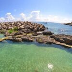 Tour Xcaret All Inclusive from Playa del Carmen - Included Transportation - Itinerary Breakdown