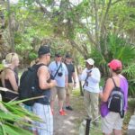 Tour Xel-Ha + Tulum Ruins from Cancun & Playa Del Carmen - Who Is This Tour Best For?