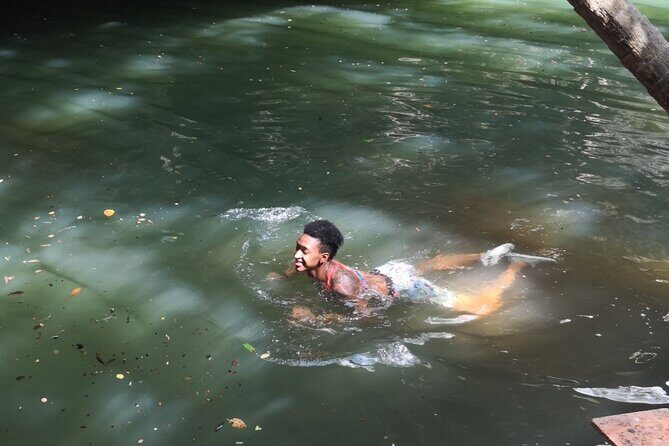 Tours On The Island Cozumel - An In-Depth Look at the Cozumel Jeep Adventure