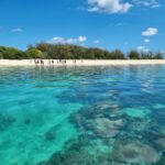 Town of 1770: Lady Musgrave Island Snorkelling Day Cruise - The Crew and Guides: Passionate and Professional