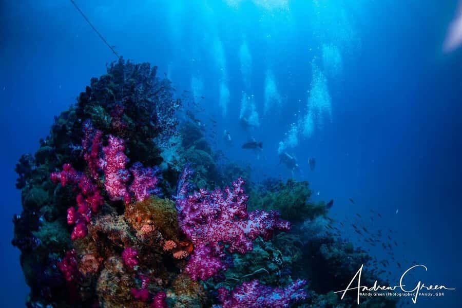 Townsville or Magnetic Island: Yongala Wreck Dive Day Trip - What Makes the Experience Truly Special?