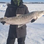 Traditional Ice Fishing with Net Pull and Lunch - Why We Think This Tour is a Great Choice