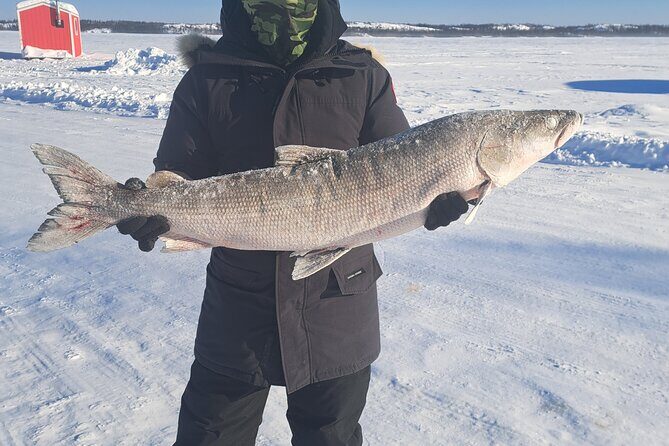 Traditional Ice Fishing with Net Pull and Lunch - Why We Think This Tour is a Great Choice
