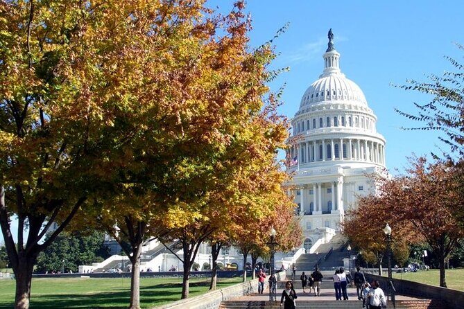 Transfer from Washington DC to Dulles International Airport - The Details of the Transfer Experience