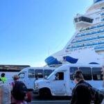 Transfer Pier 91 to International SeaTac Airport One Way - Who This Transfer Is Best For