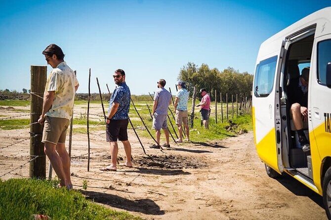 Transportation Suburban Weddings,Birthday/Valley of Guadalupe - The Itinerary and Experience