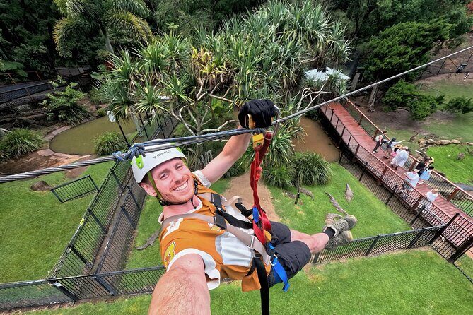 TreeTop Challenge Currumbin Wildlife Park - What Makes It Special?