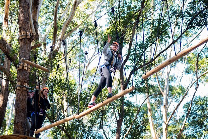 Treetops Adventure Coffs Harbour Tree Ropes Course