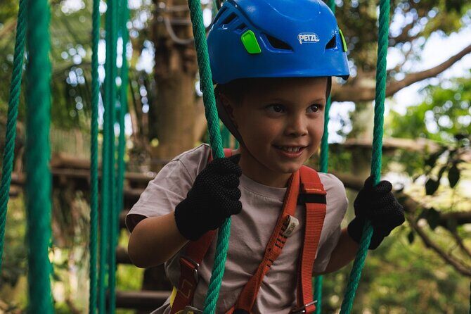 Treetops Adventure The Hills Junior Ropes Course - What to Expect During Your Visit
