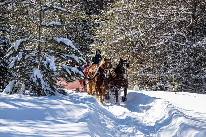 Tremblant Sleighride - Practical Tips for Booking & Participation