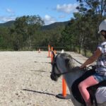 Trevena Glen 1hr Animal Tour - The Guide and Overall Atmosphere