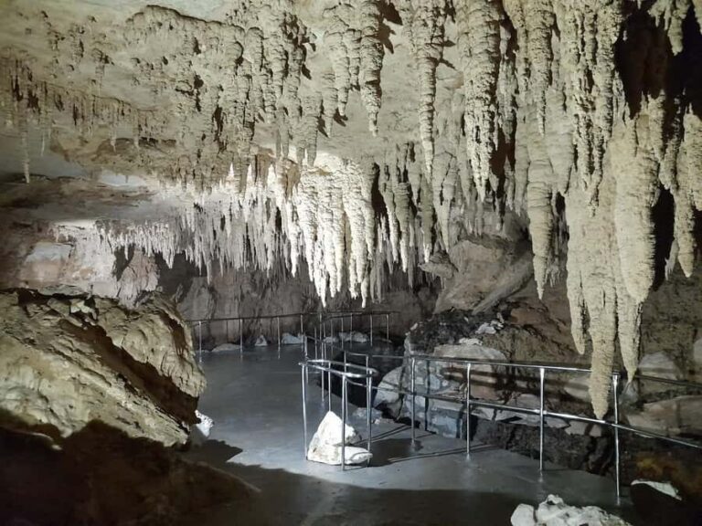 TrioDEAL MilkyWay GLOWWORM Cave, Kiwi Bird & Whangarei Falls - Why Choose This Tour?