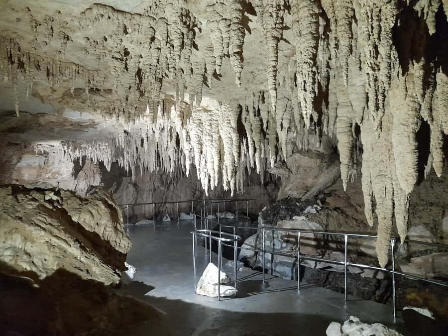 TrioDEAL MilkyWay GLOWWORM Cave, Kiwi Bird & Whangarei Falls - Why Choose This Tour?