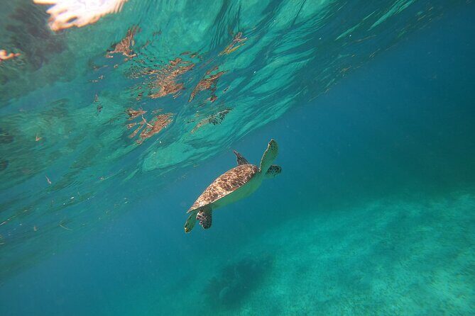 Trip to Mayan Ruins and Caribbean Village with Snorkeling - The Itinerary in Detail