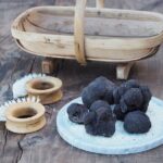 Truffle Hunt and Truffle Pizza Experience in Red Hill - The Sum Up: Who Will Love This Tour?