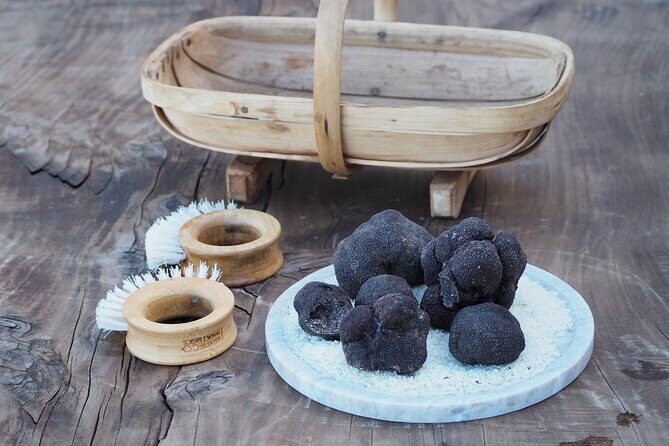 Truffle Hunt and Truffle Pizza Experience in Red Hill - The Sum Up: Who Will Love This Tour?