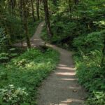 Tryon Creek Eco-tour With a Master Naturalist - The Sum Up