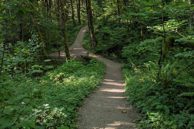 Tryon Creek Eco-tour With a Master Naturalist - The Sum Up