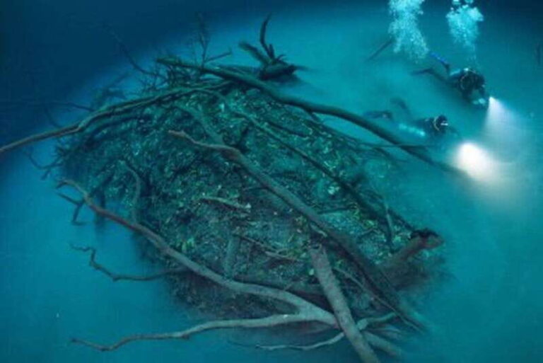 Tulum: 2 Dives in Chac Mool Cenote - Analyzing the Value and Experience