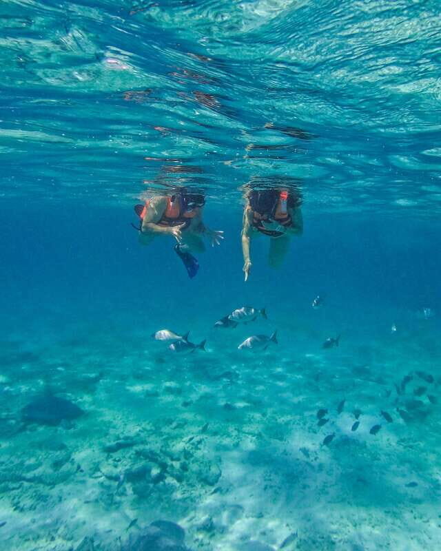 Tulum: 2-Hour Snorkeling in Two Spots of Tulum's Reef - Authentic Experiences and Highlights from Reviewers