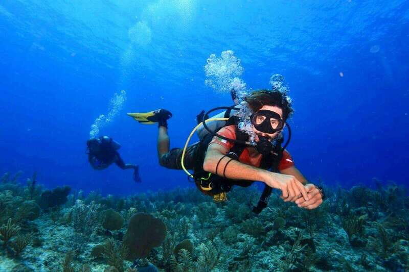 Tulum: 2 Tank Reef Diving - Who Is This Tour Best For?