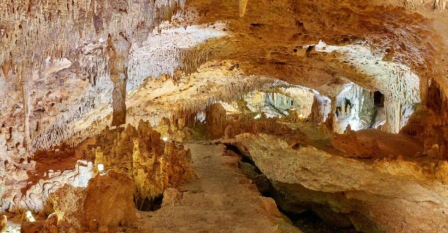 Tulum: Akumal Turtles and Underground Cenote Swim Tour - Practical Details and Tips