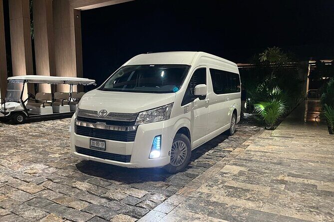 Tulum and Cenote Private Tour Ruins and Swimming - What Reviewers Say