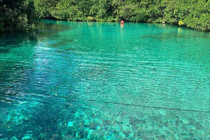 Tulum Area Experiences 2 Tank Guided Scuba Dives at Dos Ojos Cenote's + Lunch - The Itinerary: What to Expect