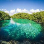 Tulum Area Experiences Guided Snorkeling Tour - Casa Cenote + Ocean Reef & Lunch - Who Should Consider This Tour?