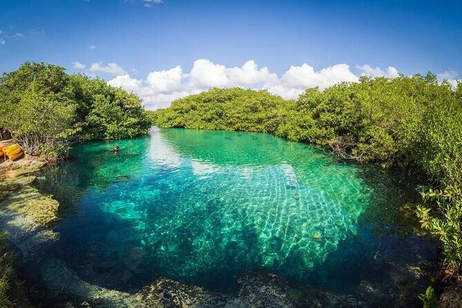 Tulum Area Experiences Guided Snorkeling Tour - Casa Cenote + Ocean Reef & Lunch - Who Should Consider This Tour?