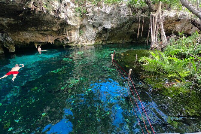Tulum Area Guided Scooter Tour to 3 Cenote's, Snorkel/Swim & Local Lunch - Why This Tour Offers Great Value