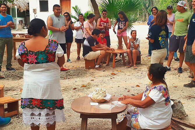 Tulum, Cenote, Coba Ruins & Fifth Avenue! Transportation from Playa Del Carmen - Transportation and Practicalities