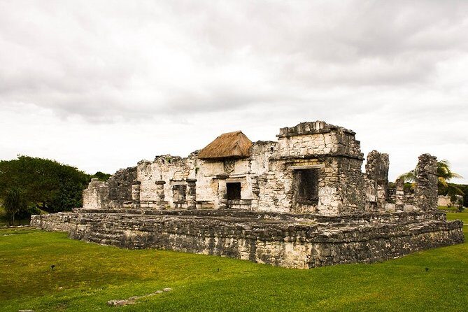 Tulum, Cenote & Playa del Carmen - What Travelers Can Expect in Terms of Comfort and Convenience