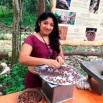 Tulum: Chocolate & Honey Sanctuary Experience with Cenote - The Itinerary Breakdown: What’s Really Included?